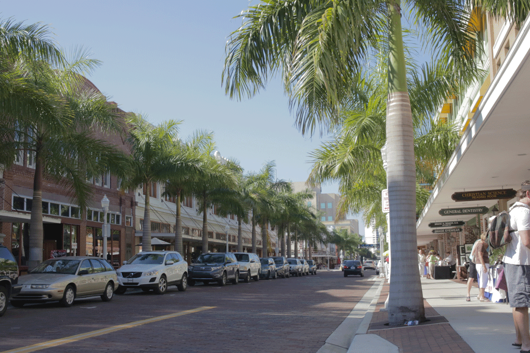 Lee County Metropolitan Planning Organization (MPO) - Lee County MPO