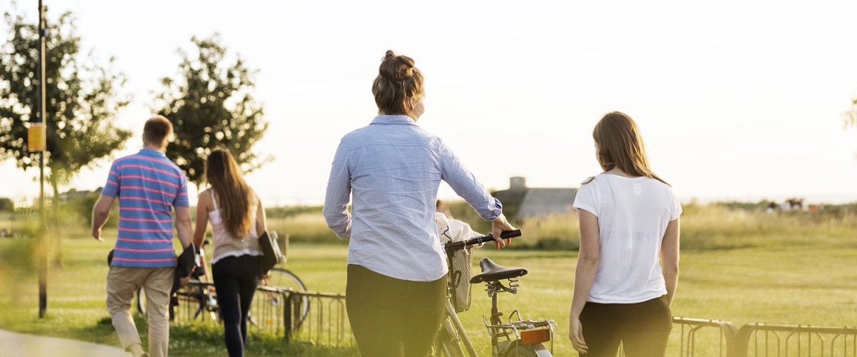 Bicycle, Pedestrian and Traffic Safety - Lee County MPO