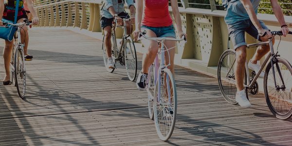 Transportation Performance Management (TPM) Plan - Lee County MPO